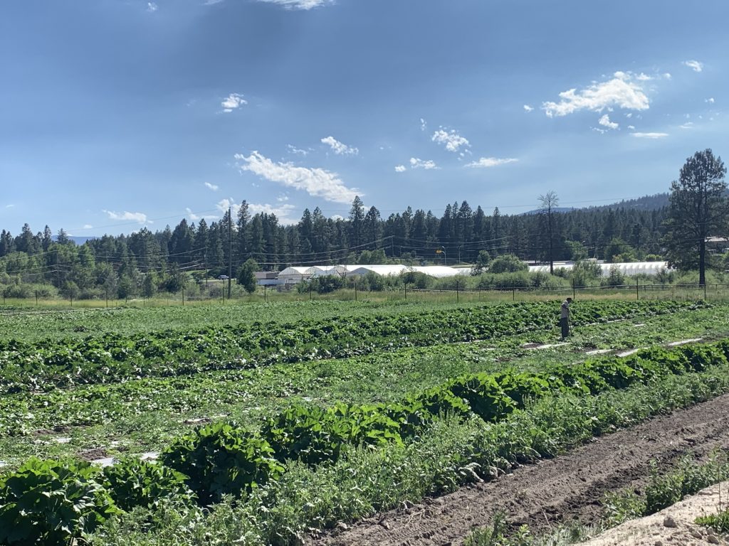 FARM JOB: Cranbrook, BC - We Be Farmin' BC, General Farm Worker