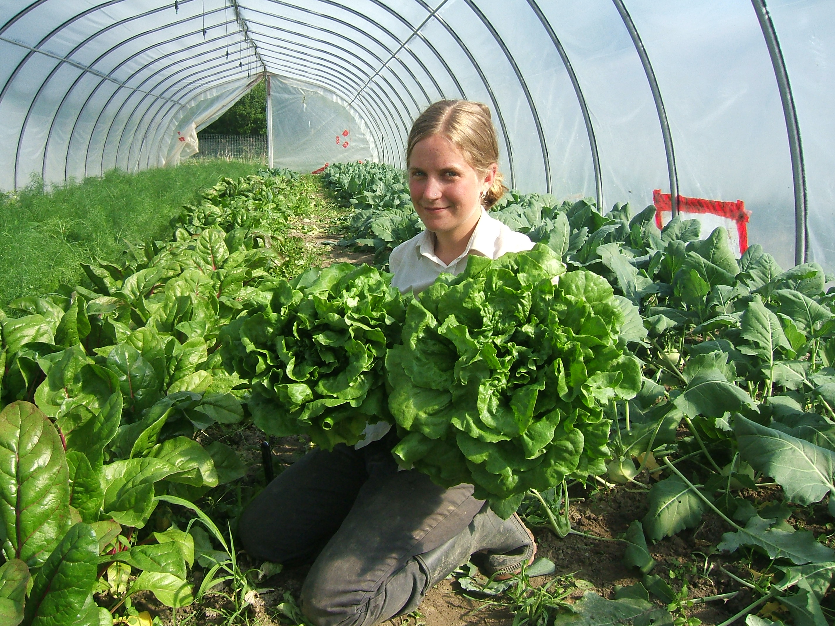 FARM JOB: Mara, BC - Wild Flight Farm, Organic Production Field Lead