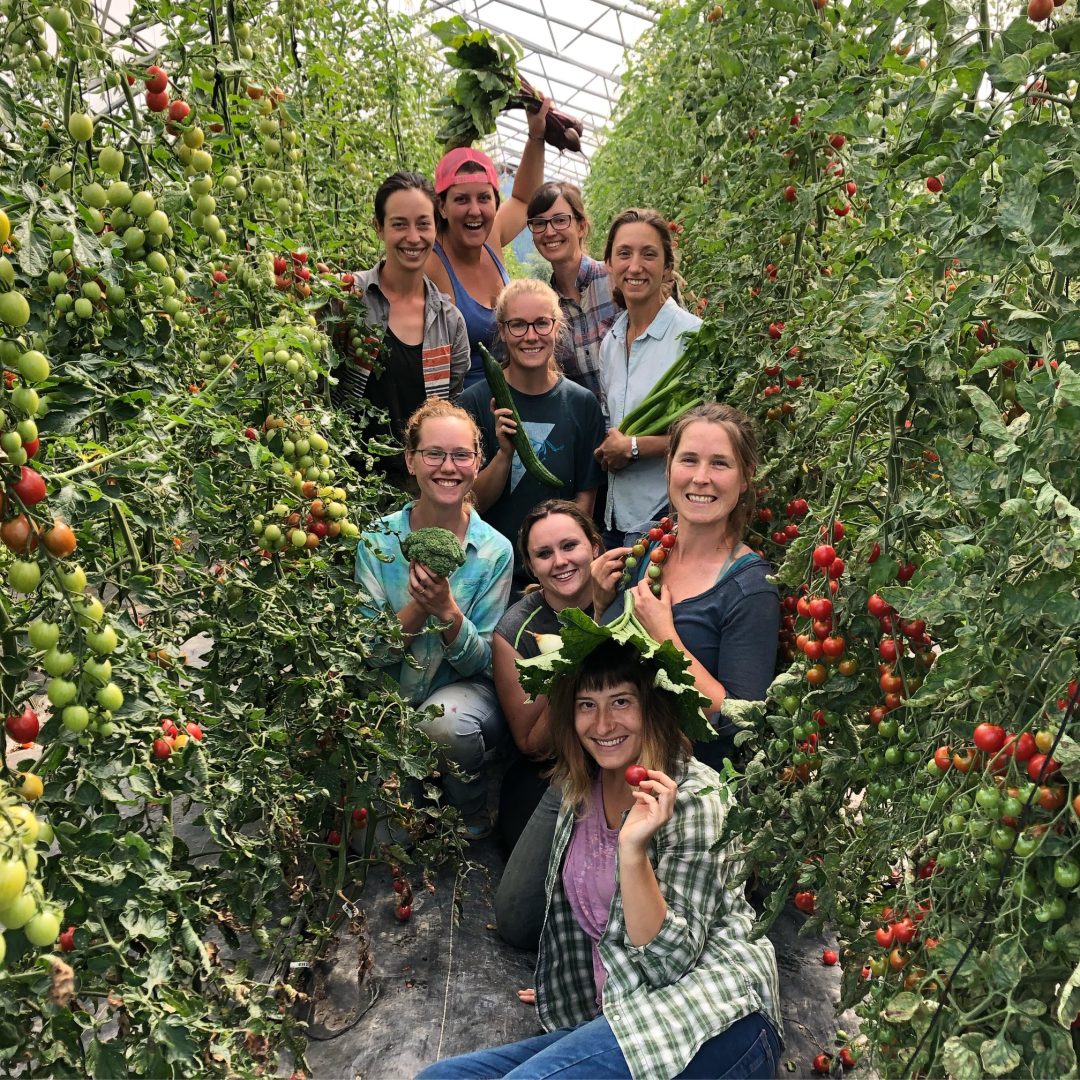 FARM JOB: North Okanagan, BC - Wild Flight Farm, Organic Farm Crew